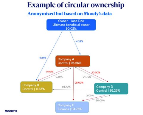 Circular ownership, beneficial ownership and risk management